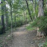 Harpeth Woods Trail, Tennessee - 2,675 Reviews, Map | AllTrails