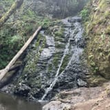 Dickerson Falls, Washington - 2,711 Reviews, Map | AllTrails