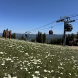 Ute Trail, Colorado - 1,377 Reviews, Map | AllTrails