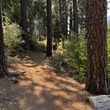 Suttle Lake Loop, Oregon - 857 Reviews, Map | AllTrails