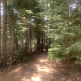 Hunter Creek Trail, Nevada - 4,878 Reviews, Map | AllTrails