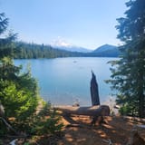 Lost Lake Loop (Lakeshore Trail), Oregon - 632 Reviews, Map | AllTrails