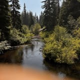 Suttle Lake Loop, Oregon - 857 Reviews, Map | AllTrails