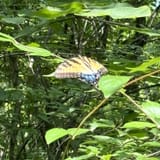 Flat Fork Ridge Trail, Ohio - 1,386 Reviews, Map | AllTrails