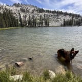 Weaver Lake Trail, California - 1,130 Reviews, Map | AllTrails