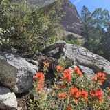 Piute Pass Trail, California - 324 Reviews, Map | AllTrails