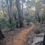 Mount Cooke Loop, Western Australia, Australia - 646 Reviews, Map ...