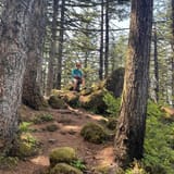 Angels Rest to Devil's Rest Loop Trail, Oregon - 1,242 Reviews, Map ...