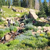 Pawnee Peak via Pawnee Pass Trail, Colorado - 674 Reviews, Map | AllTrails