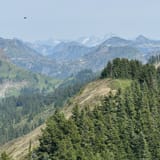 Excelsior Pass Trail, Washington - 668 Reviews, Map | AllTrails