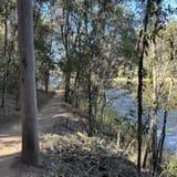 Enoggera Reservoir Circuit, Queensland, Australia - 1,920 Reviews, Map ...