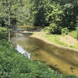 Pennypack Trail, Pennsylvania - 714 Reviews, Map | AllTrails