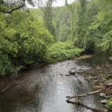 Pennypack Trail, Pennsylvania - 714 Reviews, Map | AllTrails