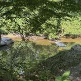 Pennypack Trail, Pennsylvania - 714 Reviews, Map | AllTrails