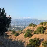 Fryman Canyon Trail, California - 6,423 Reviews, Map | AllTrails