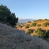 Fryman Canyon Trail, California - 6,423 Reviews, Map | AllTrails