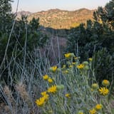 Fryman Canyon Trail, California - 6,423 Reviews, Map | AllTrails