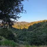 Fryman Canyon Trail, California - 6,423 Reviews, Map | AllTrails