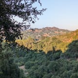 Fryman Canyon Trail, California - 6,350 Reviews, Map | AllTrails