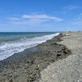 Dungeness Spit Trail, Washington - 1,684 Reviews, Map | AllTrails