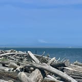 Dungeness Spit Trail, Washington - 1,684 Reviews, Map | AllTrails