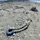 Dungeness Spit Trail, Washington - 1,684 Reviews, Map | AllTrails