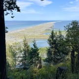 Dungeness Spit Trail, Washington - 1,684 Reviews, Map | AllTrails