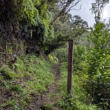 Poamoho Trail, Oahu, Hawaii - 191 Reviews, Map | AllTrails