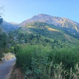 Neffs Canyon Trail, Utah - 2,224 Reviews, Map | AllTrails