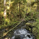 Lunch Falls Trail, Alaska - 87 Reviews, Map | AllTrails