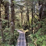 Lunch Falls Trail, Alaska - 87 Reviews, Map | AllTrails