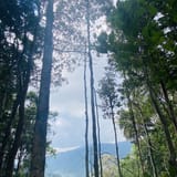 Mount Angsi, Negeri Sembilan, Malaysia - 1,048 Reviews, Map | AllTrails