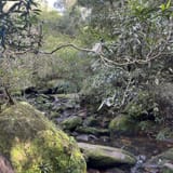 Lane Cove Riverside Walk, New South Wales, Australia - 1,728 Reviews ...