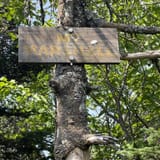 Mount Marshall via the Calamity Brook Trail, New York - 962 Reviews ...