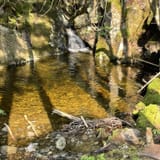 Mount Marshall via the Calamity Brook Trail, New York - 962 Reviews ...