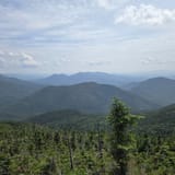 Mount Marshall via the Calamity Brook Trail, New York - 962 Reviews ...