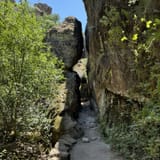 Moses Spring and Rim Trail Loop, California - 2,798 Reviews, Map ...