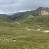 Engineer Pass Road, Colorado - 244 Reviews, Map | AllTrails