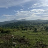 Mount Rogers Loop Trail, Virginia - 391 Reviews, Map | AllTrails