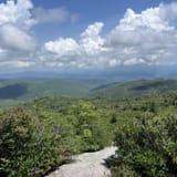 Mount Rogers Loop Trail, Virginia - 391 Reviews, Map | AllTrails