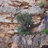 Paradyskloof Waterfall, Western Cape, South Africa - 854 Reviews, Map ...