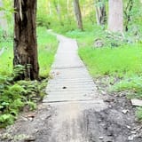 Bacon Ridge Trail: Phase 3, Maryland - 2,653 Reviews, Map | AllTrails