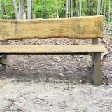 Bacon Ridge Trail: Phase 3, Maryland - 2,653 Reviews, Map | AllTrails