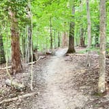 Bacon Ridge Trail: Phase 3, Maryland - 2,653 Reviews, Map | AllTrails