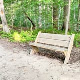 Bacon Ridge Trail: Phase 3, Maryland - 2,653 Reviews, Map | AllTrails