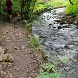 Chee Dale Gorge Circular, Derbyshire, England - 1,856 Reviews, Map ...