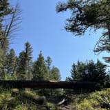 Beaver Ponds Loop Trail, Montana - 1,500 Reviews, Map | AllTrails