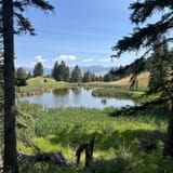Beaver Ponds Loop Trail, Montana - 1,487 Reviews, Map | AllTrails
