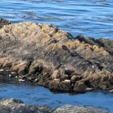 Iceberg Point Trail, Washington - 347 Reviews, Map | AllTrails