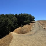 Edgewood Trail Loop, California - 2,584 Reviews, Map | AllTrails